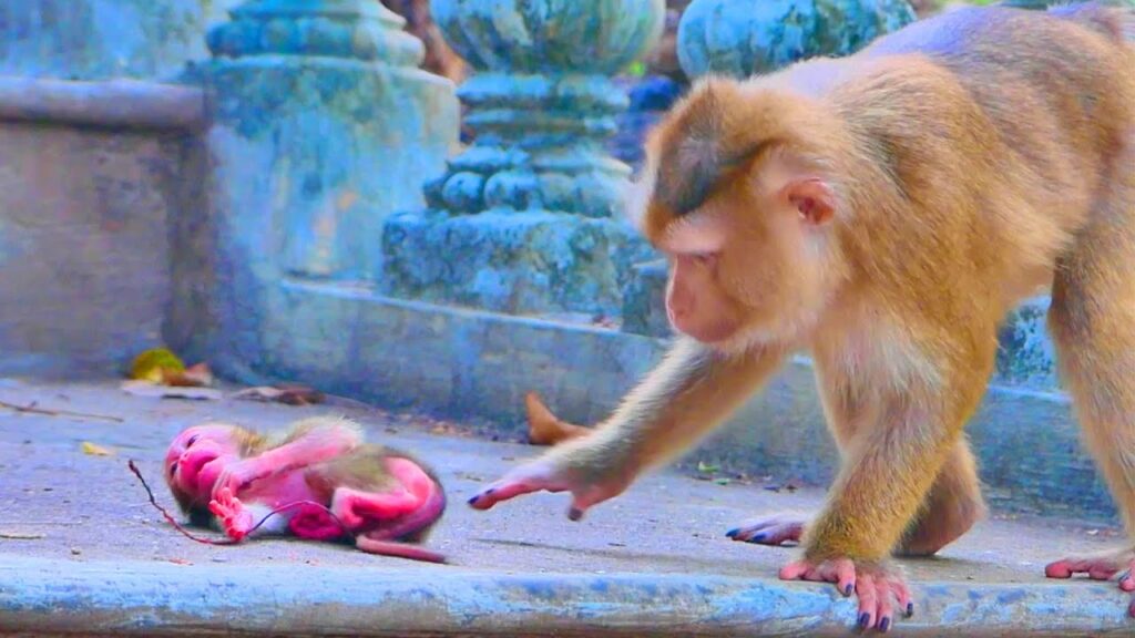 Leo’s mother likes to make fun of Leo and make him cry. – usatrendy.info